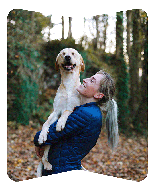 Dog Boarding Haapamaki – Reliable Care Place for Your Pet